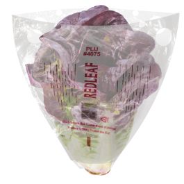 Red Leaf Sleeves