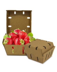 Eco Friendly Containers - Containers