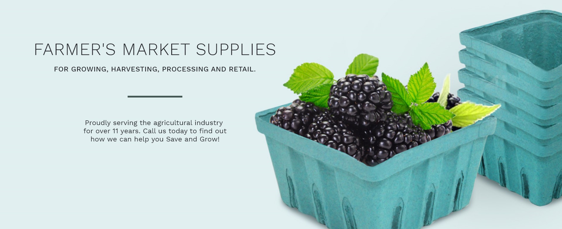 Fresh Produce & Baked Good Packaging Suppliers
